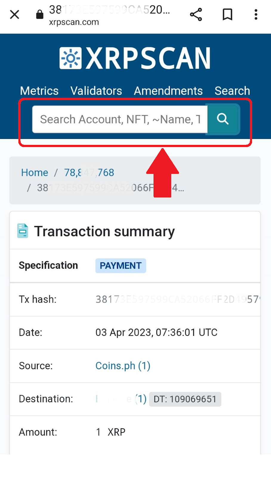 How do I find my transaction hash or TXID? – Coins.ph Help Center